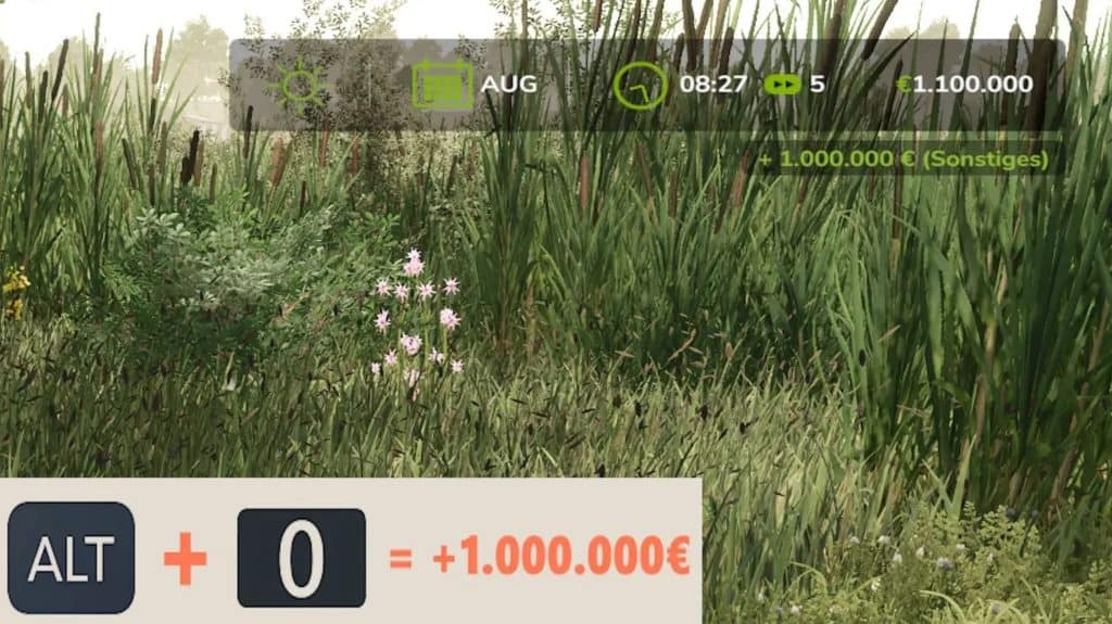 Add Money Script v1.0.0.0 | FS25 Mod Download