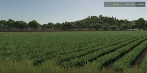 FS25 Rice Field Guide: Top Tips for Success | FS25modhub.com