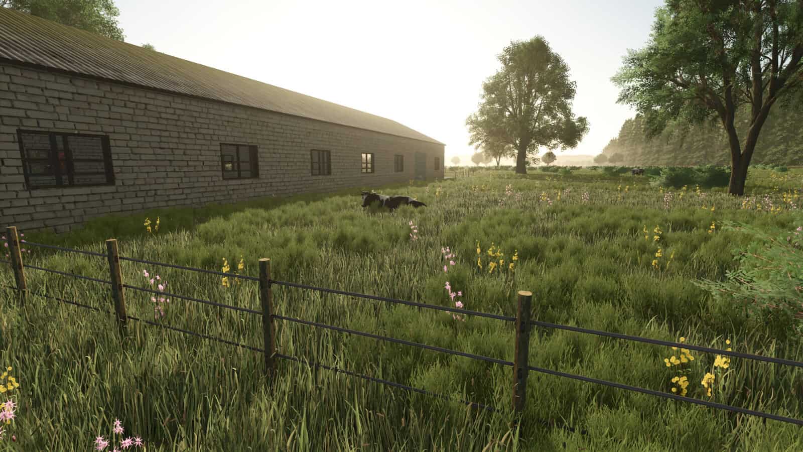 Tässi Farm Map v1.0 | FS25 Mod Download