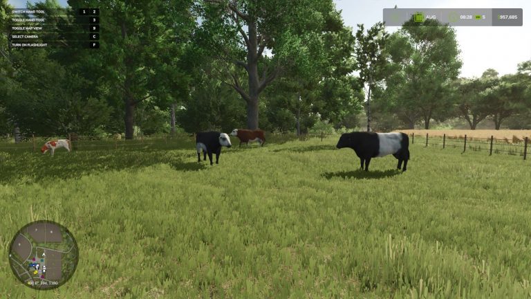 Animal pack - More Cattle Breeds Edition v1.0 | FS25 Mod Download