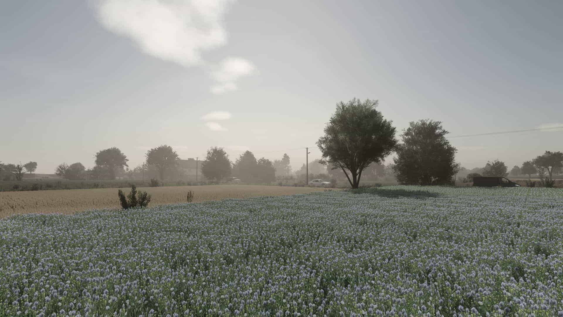 Żbiki v1.0.0.3 | FS25 Mod Download